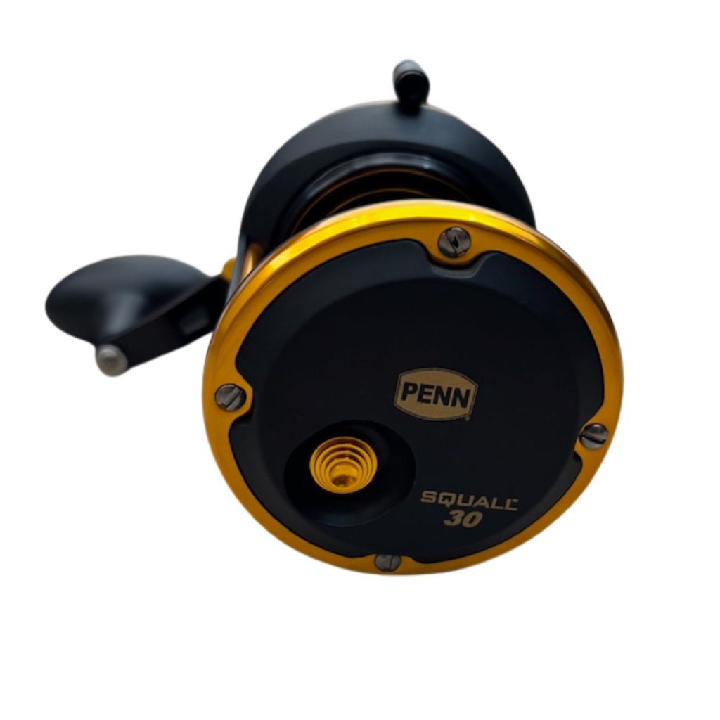 Penn Squall 30 Star Drag Reel Swakop Sport