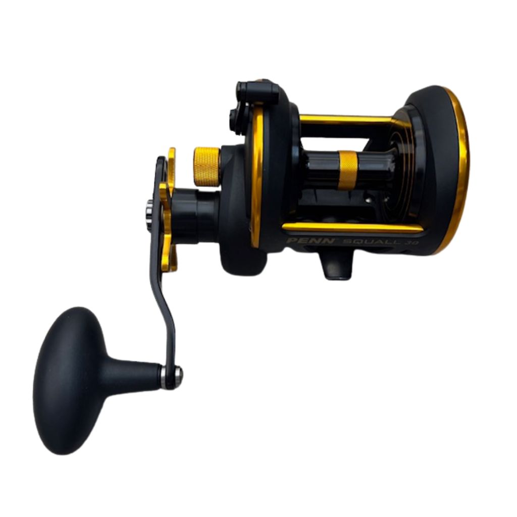 Penn Squall 30 Star Drag Reel Swakop Sport